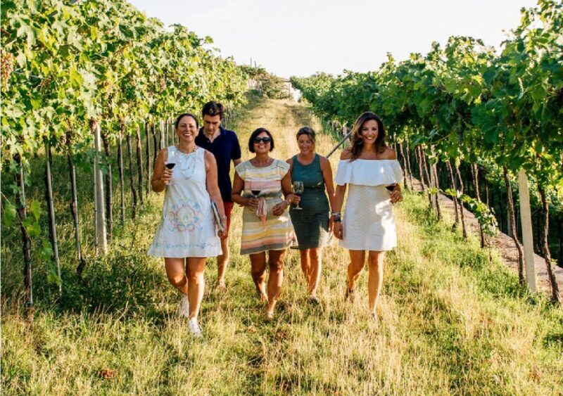 Verona: Vineyard and Winery Tour with Wine Tasting - Who Should Consider This Tour?