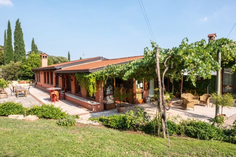 Verona: Wine Tasting with Snacks and Panoramic City Views - The Experience in Detail: What to Expect