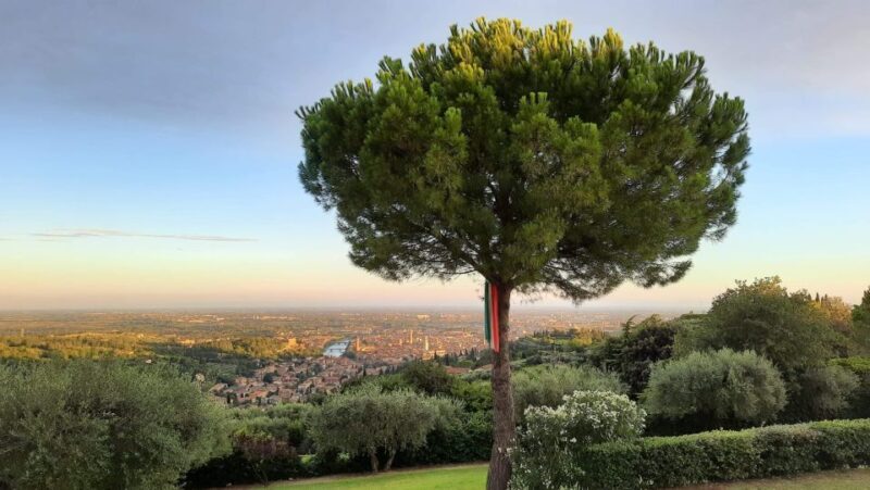 Verona: Wine Tasting with Snacks and Panoramic City Views - Practical Details and Value