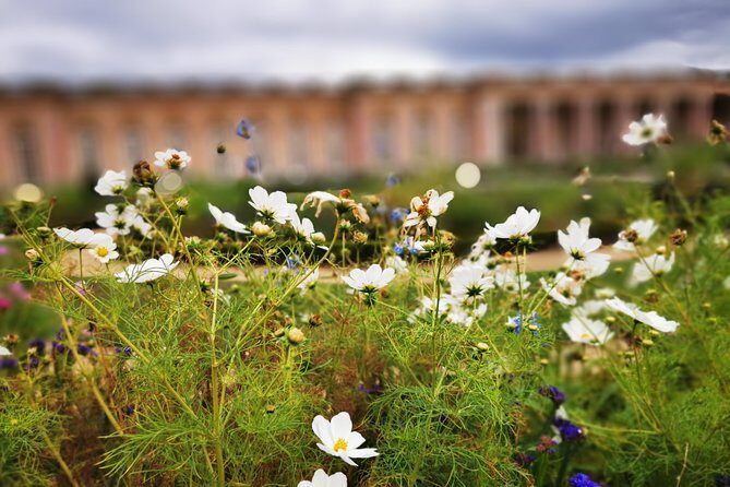 Versailles Full Day Private Guided Tour with Hotel Pickup - FAQs
