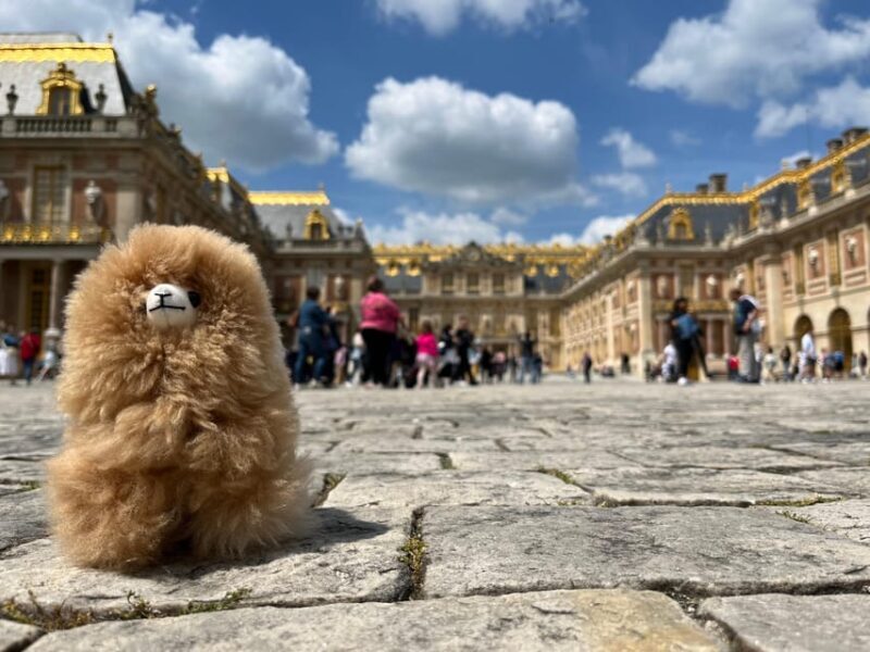 Versailles Half-day Private Tour by Luxury Car - Discovering Versailles: A Private Half-Day Tour in Style