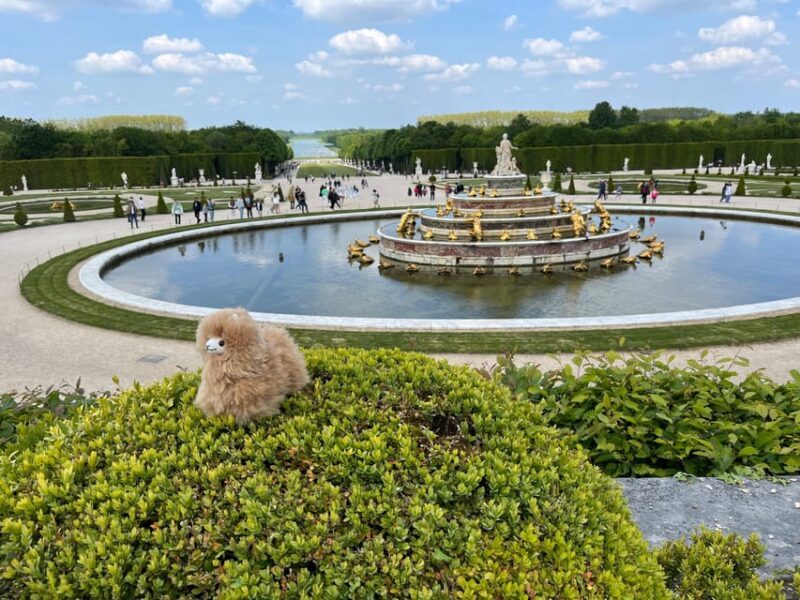 Versailles Half-day Private Tour by Luxury Car - The Bottom Line: Who is This Tour Best For?