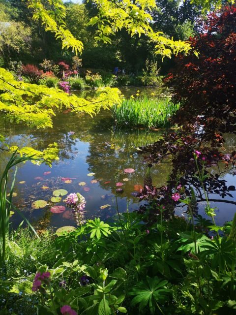 Versailles Palace and Giverny Private guided tour from Paris - Final Thoughts: Is This Tour Right for You?