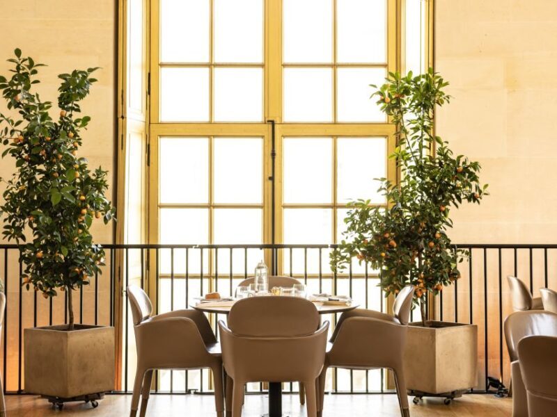 Versailles: Skip-the-Line Entrance and Tea Time at Ore - The Itinerary in Detail