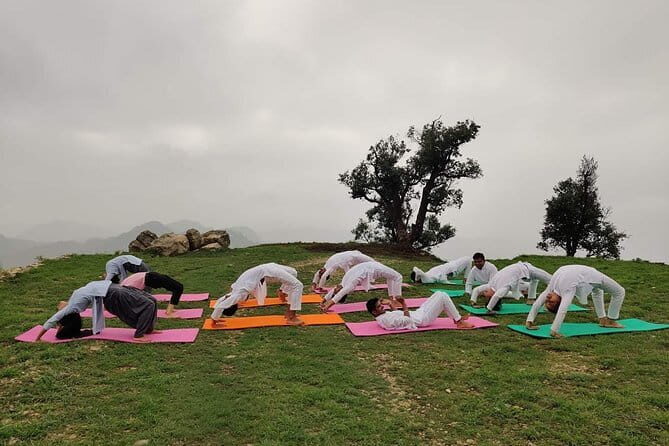 Very Good Morning Delhi - Key Points