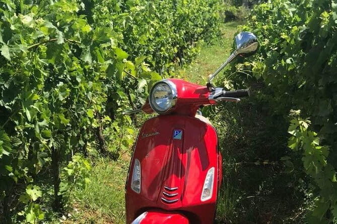 Vespa Motorcycle rental in Florence - What to Expect from Your Vespa Rental in Florence