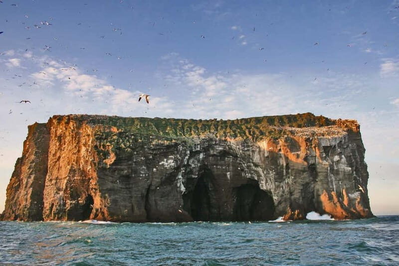 Vestmannaeyjar: 2 hour RIB boat Tour - Key Points
