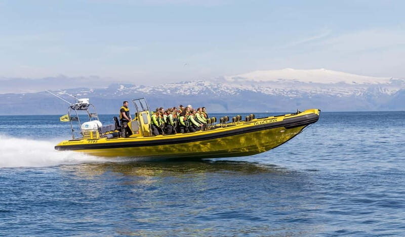 Vestmannaeyjar: 2 hour RIB boat Tour - A Detailed Look at the Westman Islands RIB Tour