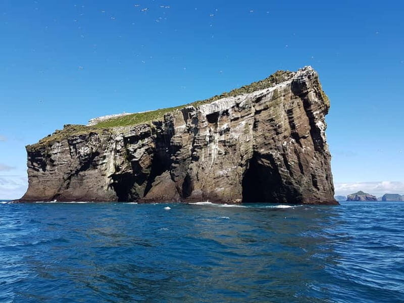 Vestmannaeyjar: 2 hour RIB boat Tour - FAQ