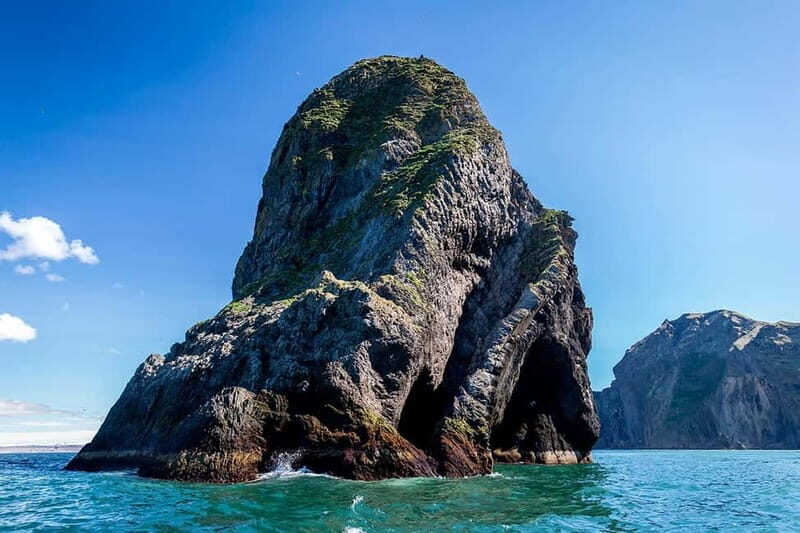 Vestmannaeyjar: One Hour Small Islands Trip - An In-Depth Look at the Small Islands Trip