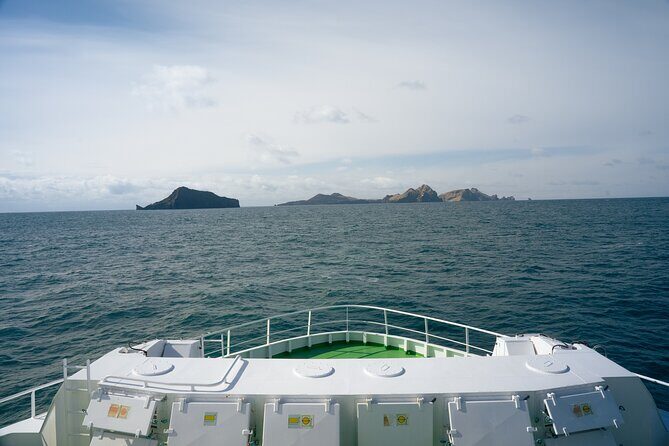 Vestmannaeyjar, Puffins & Volcanoes Small Group Day Tour - Key Points