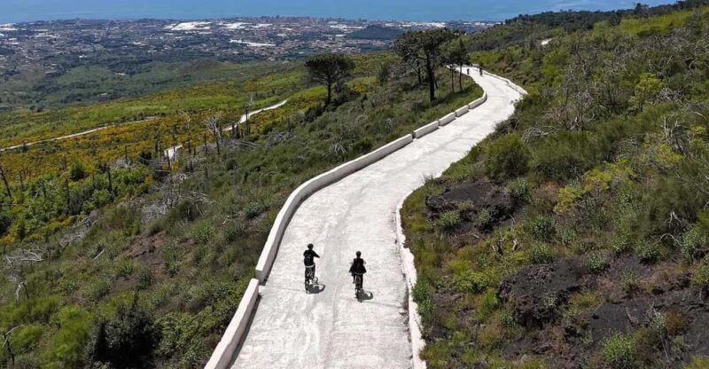 Vesuvio Bike Tour: Summit Ride and Entrance Ticket - The Practical Details: Transport, Price, and What’s Included