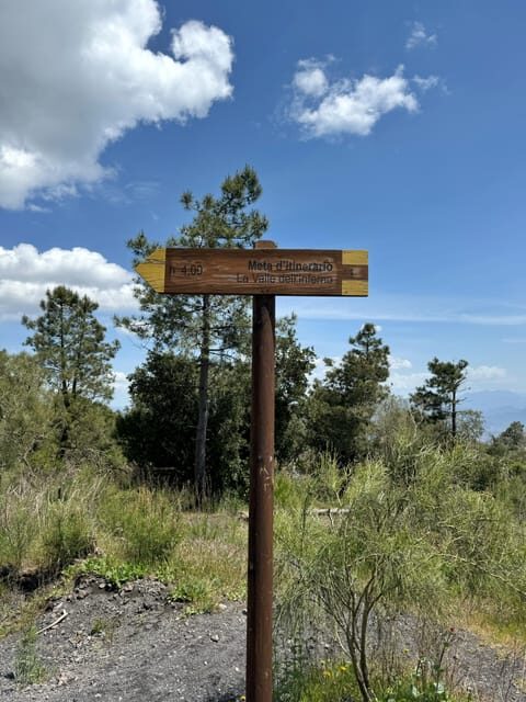 Vesuvio Bike Tour: Summit Ride and Entrance Ticket - Who Will Enjoy This Tour?