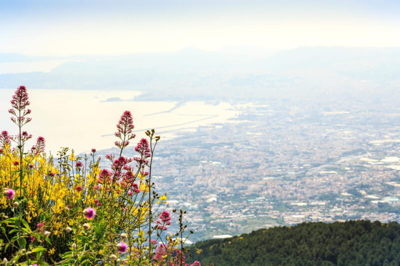 Vesuvio Skip The Line Ticket With Digital Audioguide - Vesuvius: The Itinerary and What to Expect