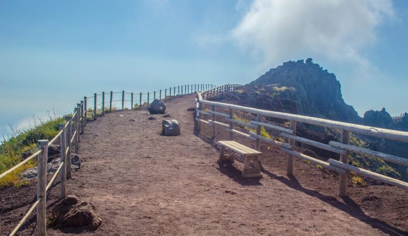 Vesuvio Skip The Line Ticket With Digital Audioguide - Who Should Consider This Tour?