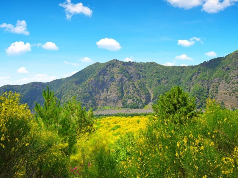 Vesuvius and Herculaneum from Naples - Why This Tour Offers Great Value