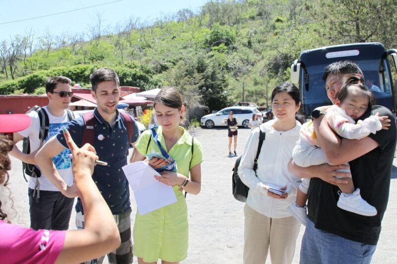 Vesuvius and Herculaneum - The Practical Side: Transportation and Tickets