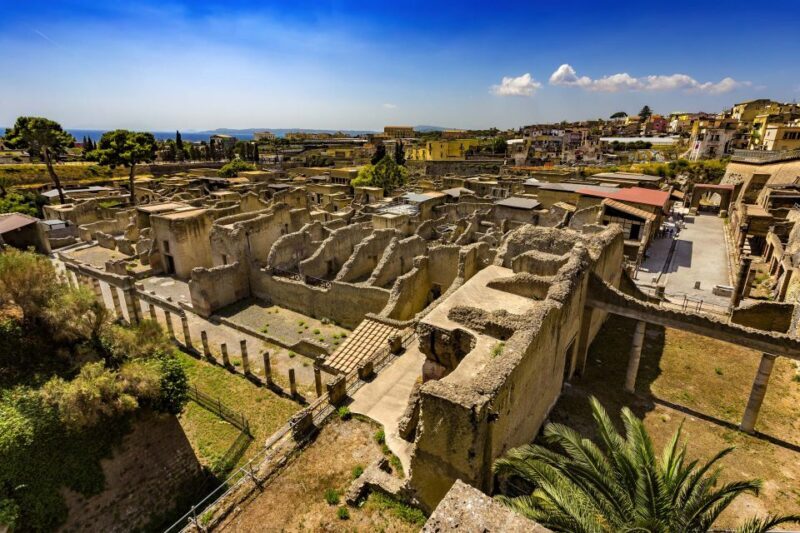 Vesuvius and Herculaneum - Who Is This Tour Best For?
