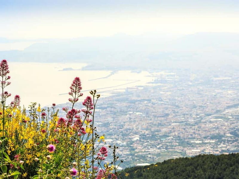 Vesuvius and Pompeii Day Trip with Lunch - Practical Tips for Making the Most of Your Day