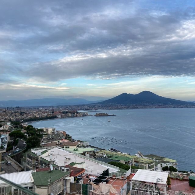 Vesuvius Park Skip-the-Line Ticket + support - The Practical Side: What You Need to Know
