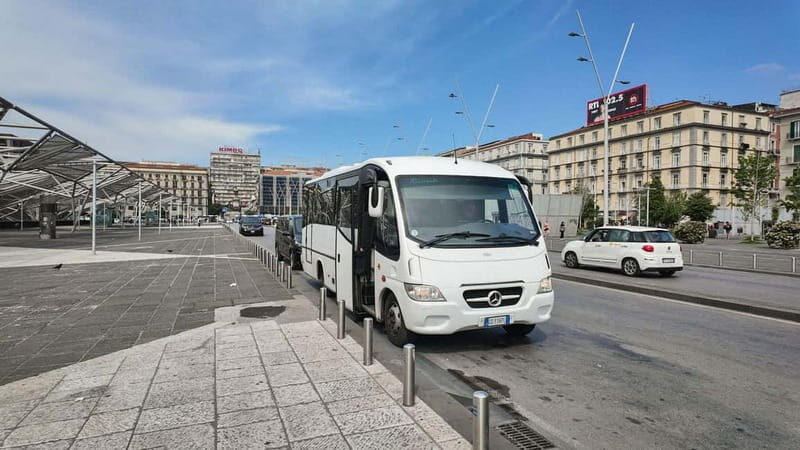 Vesuvius Volcano Experience: from Naples, Pompeii and Rome - Practical Details and Tips