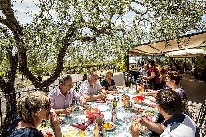 Vesuvius Wine Tasting Experience with Lunch Included - An Authentic Taste of Vesuvius in a Compact Tour