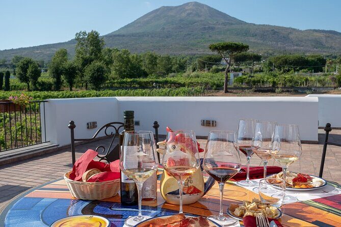 Vesuvius Wine Tasting Experience with Lunch Included - The Sum Up