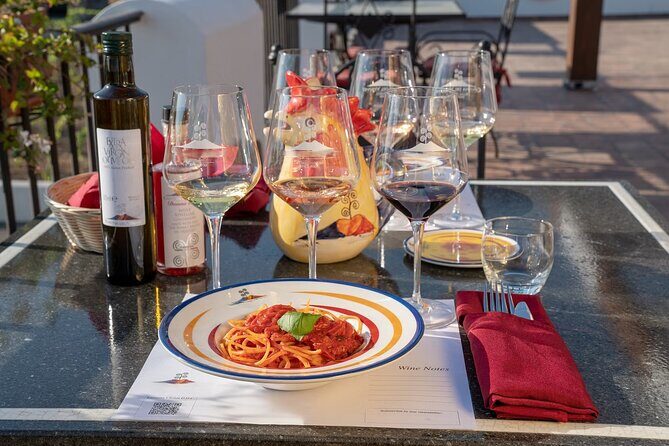 Vesuvius Wine Tasting Experience with Lunch Included - FAQ