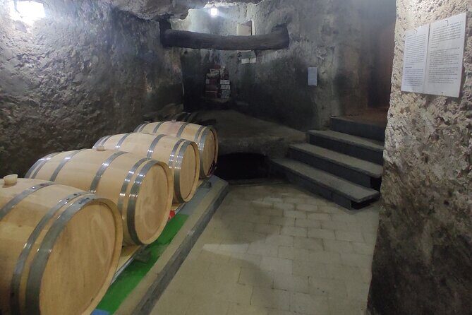 Vesuvius wine tasting with company tour - Key Points