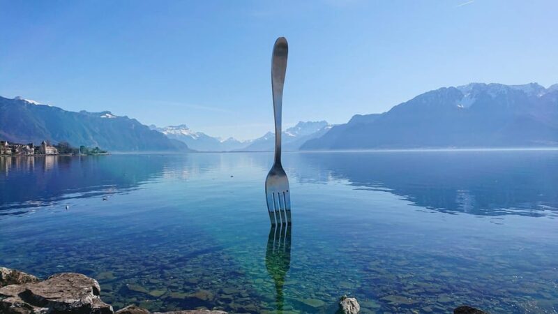 Vevey - Private Walking Tour - Introduction: Why Consider This Tour?