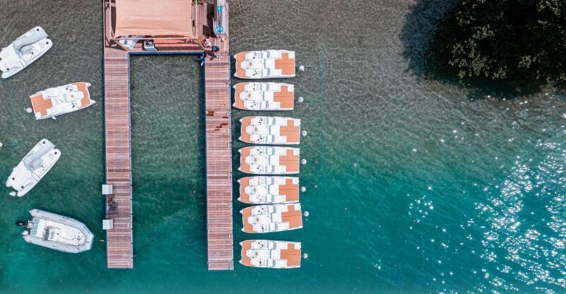 Veyrier-du-Lac: Pedal Boat Rental - What to Expect on Your Paddle