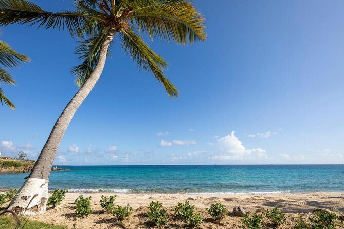 Vi Top Taxi & Tours -Airport Transfer to Bolongo Bay/ Limetree - The Sum Up