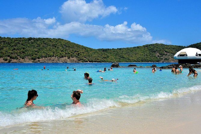 Vi Top Taxi &Tours USVI-Coki Beach Snorkeling Tour - A Practical Look at Vi Top Taxi & Tours USVI-Coki Beach Snorkeling Tour