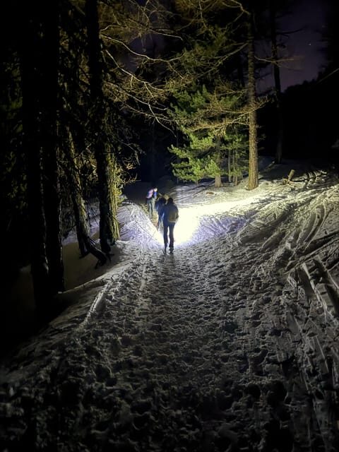 Vialattea: Night Snowshoeing under the Stars - Who Is This Tour Best For?
