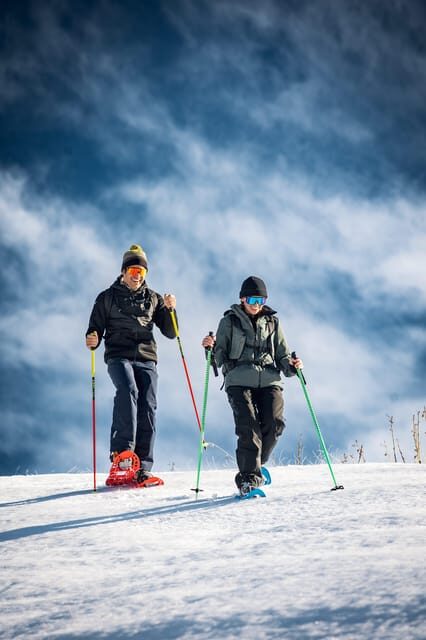 Vialattea: Snowshoeing in the Snowy Forest - Who Is This Tour Best For?