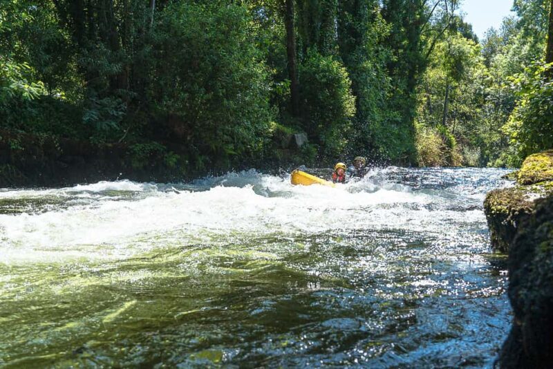Viana do Castelo: Kayak Adventure on the Lima River - Key Points