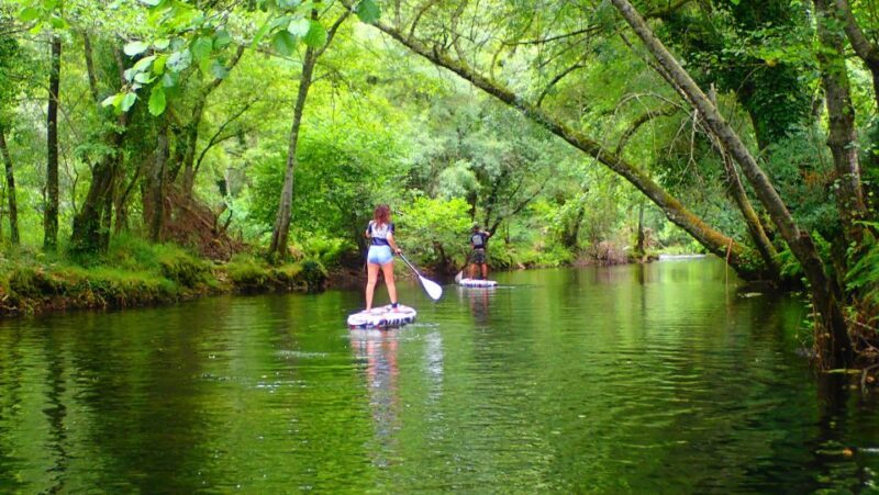Viana do Castelo: Vez River SUP with Transfer Options - Who Will Enjoy This Experience?