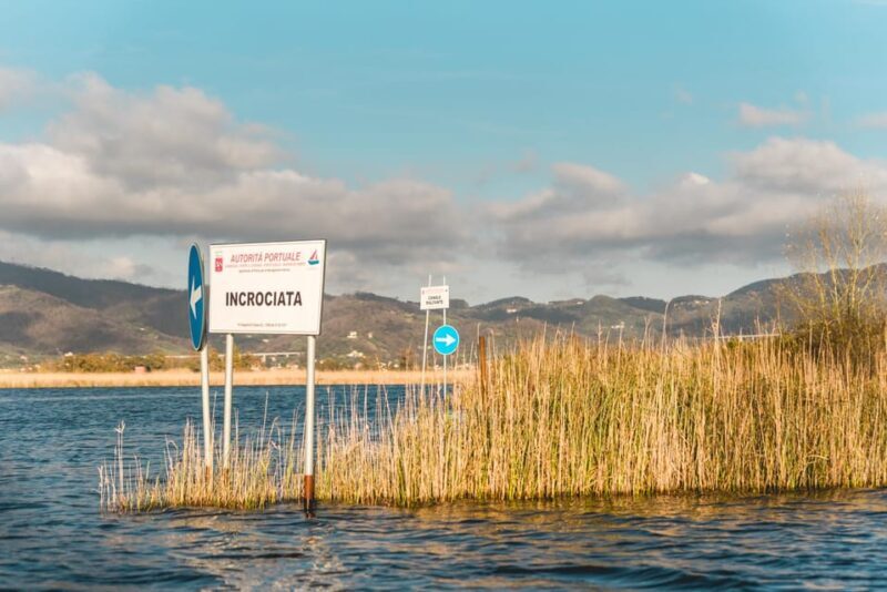 Viareggio: Marshes Electric Boat Tour with Wine Tasting - Key Points