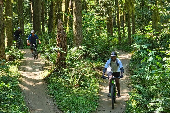 Viator Exclusive - Half Day Mountain Bike Tour from Seattle - The Experience on the Trail