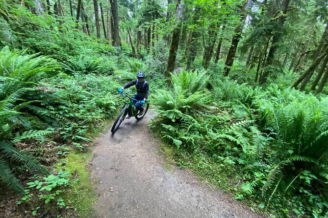 Viator Exclusive - Half Day Mountain Bike Tour from Seattle - Who Would Love This Tour?