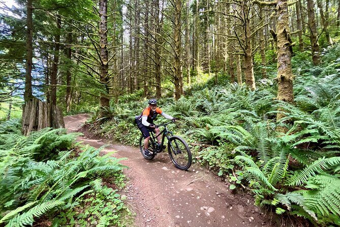 Viator Exclusive - Half Day Mountain Bike Tour from Seattle - The Sum Up