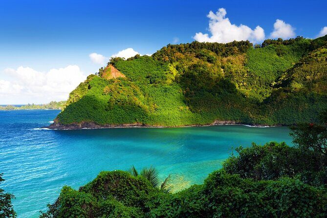 Viator Exclusive: Maui Tropical Rainforest Small Group Tour - Key Points