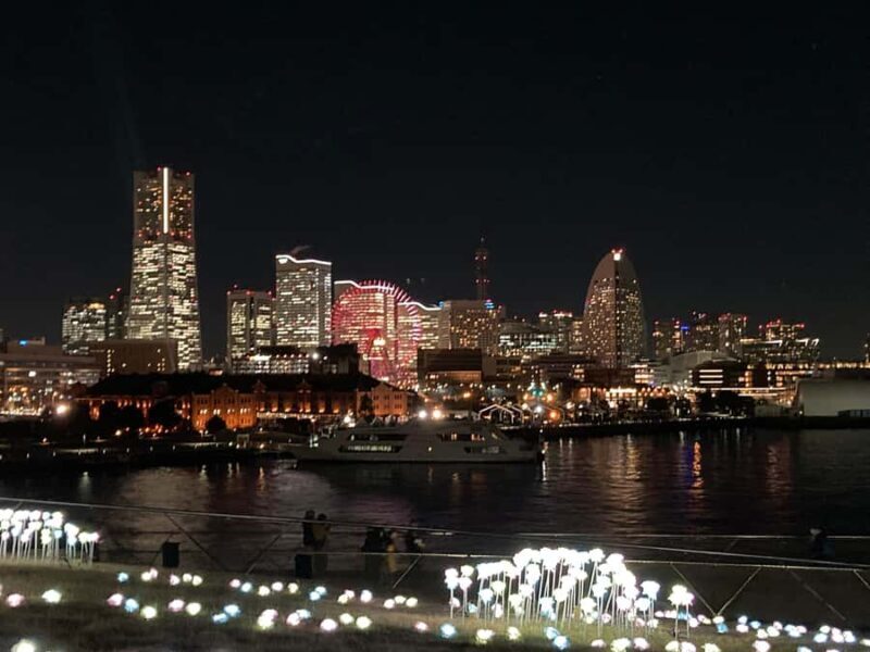 Vibrant Yokohama: Private Day of Culture, Seaside & Skylines - Who Should Consider This Tour?