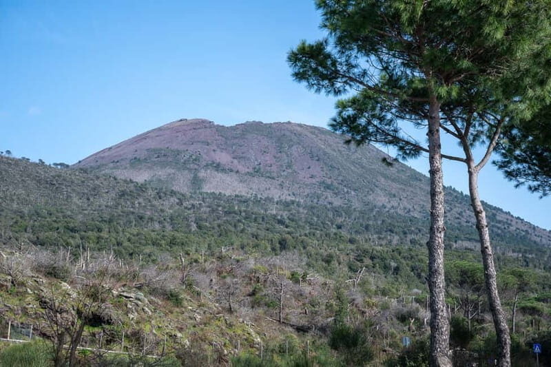 Vico Equense: Pompeii and Mount Vesuvius Guided Tour - The Sum Up