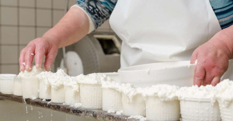 Vico Equense: Tour in the dairy "Mozzarella Experience" - Who Will Love This Tour