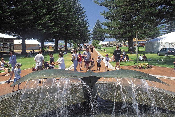 Victor Harbor and Southern Highlights from Adelaide - Final Thoughts: Is This Tour Right for You?