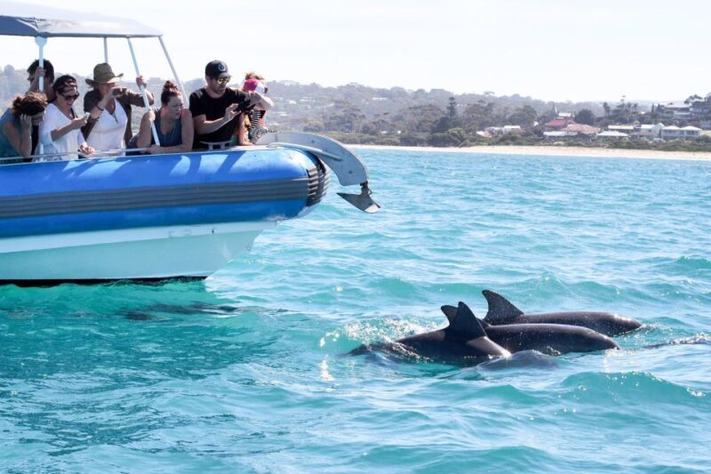 Victor Harbor: Southern Ocean Adventure Cruise with Guide - Practical Tips for the Trip