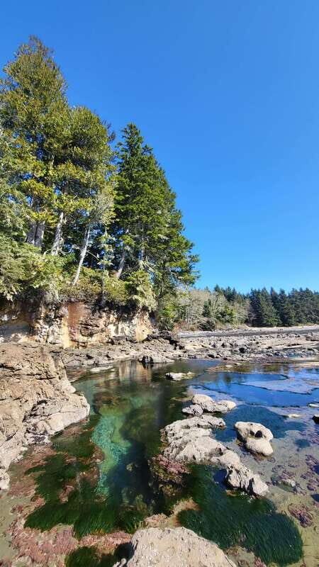Victoria: 4-Day Tofino and Port Renfrew Tour with Flights - Who Should Consider This Tour?