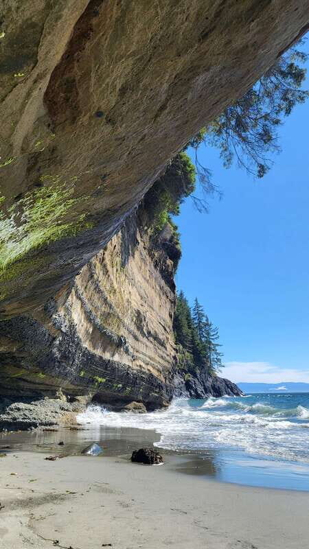 Victoria: 4-Day Tofino and Port Renfrew Tour with Flights - FAQ
