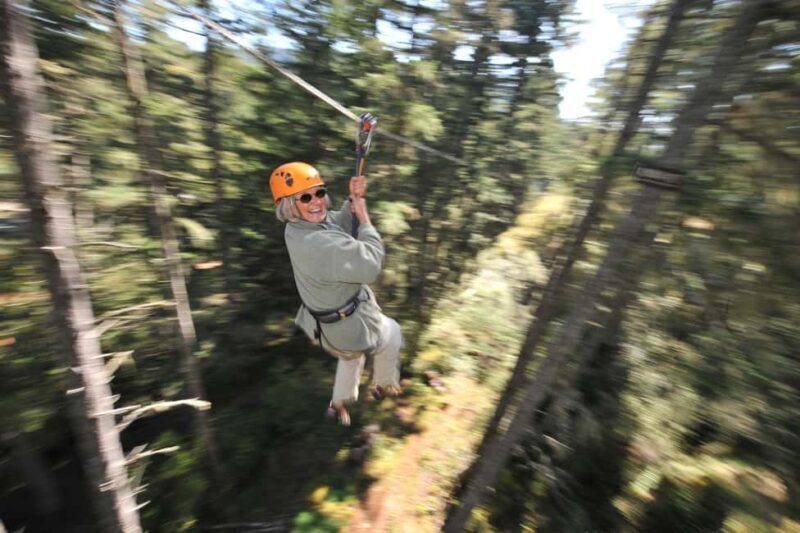 Victoria: 8 Zipline Guided Tour + Suspension Bridge - An In-Depth Look at the Experience